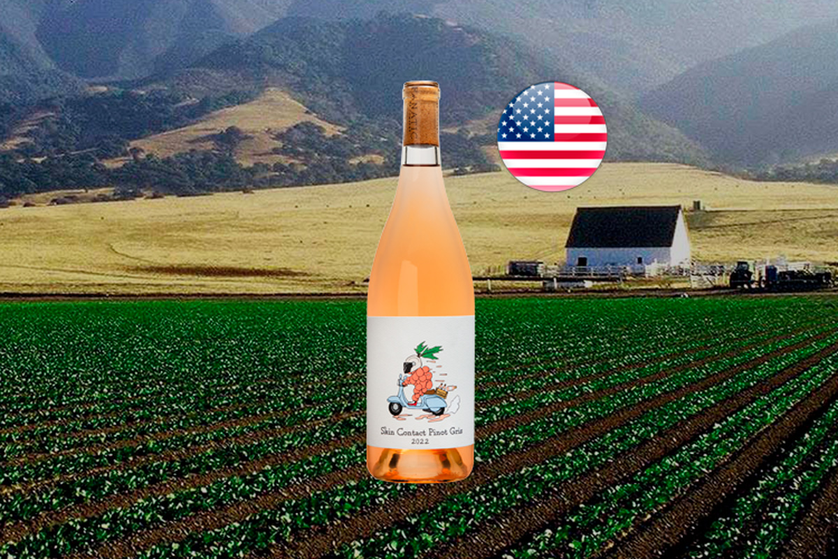 Fanatic Skin Contact Pinot Gris 2022 - American Rose Wine - Center ...