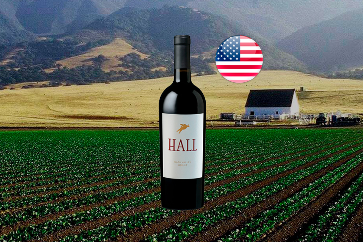 Hall Napa Valley Merlot 2019 - American Red Wine - Center Gourmet ...
