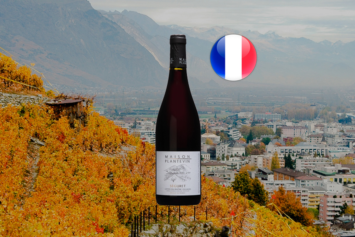 Maison Plantevin Seguret 2021 - French Red Wine - Center Gourmet ...