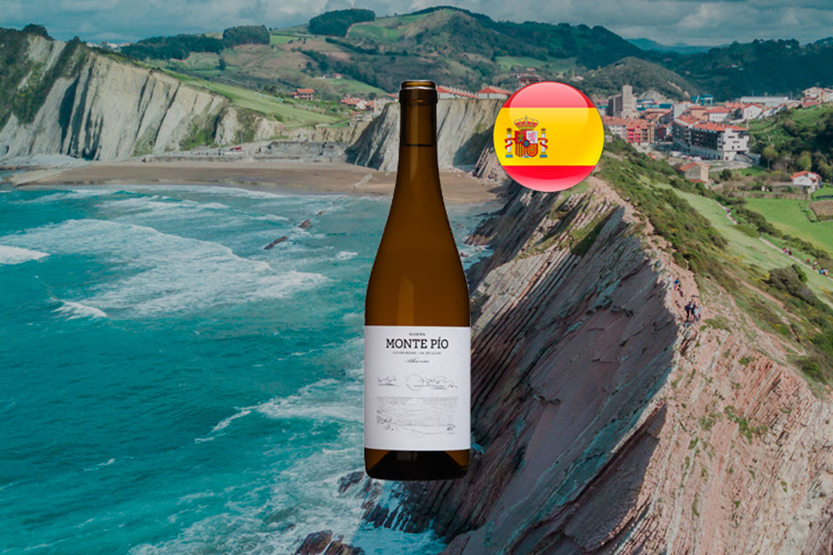 Monte Pio Raxeira Albariño 2022 - Spanish White Wine - Center Gourmet ...