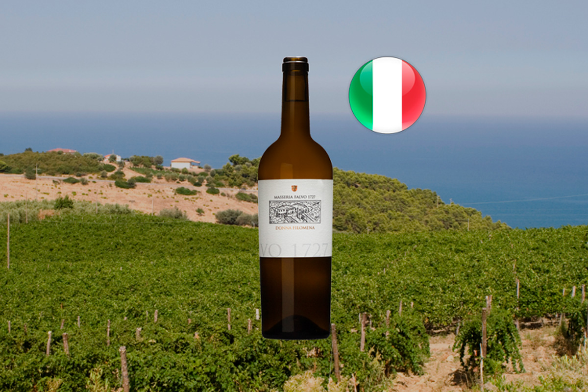 Masseria Falvo Donna Filomena Guarnaccia 2021 - Italian White Wine ...