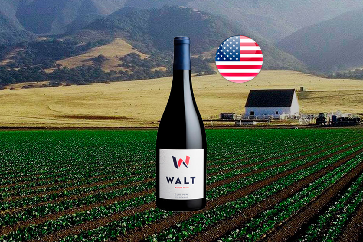 Walt Clos Pepe Pinot Noir 2020 - American Red Wine - Center Gourmet ...