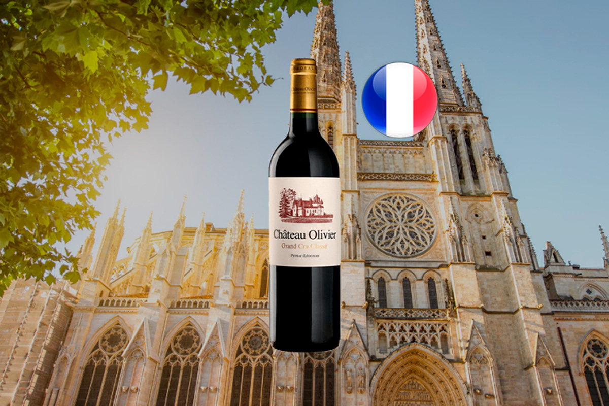 Chateau Olivier 2019 - French Red Wine - Center Gourmet International