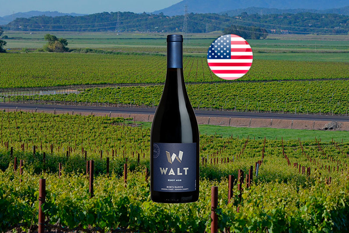 Walt Bob's Ranch Pinot Noir 2022 - American Red Wine - Center Gourmet ...